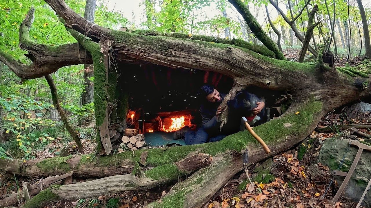 Solo Survival in the Rainforest for 7 Days – Bushcraft Shelter Build ...